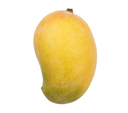 Buy Indian Mangoes Online | Queen Kesar Mango | Gift Mango USA-Savanifarms